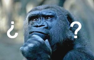 ¿Debo aceptar un préstamo no solicitado de mi banco? | HelpMyCash